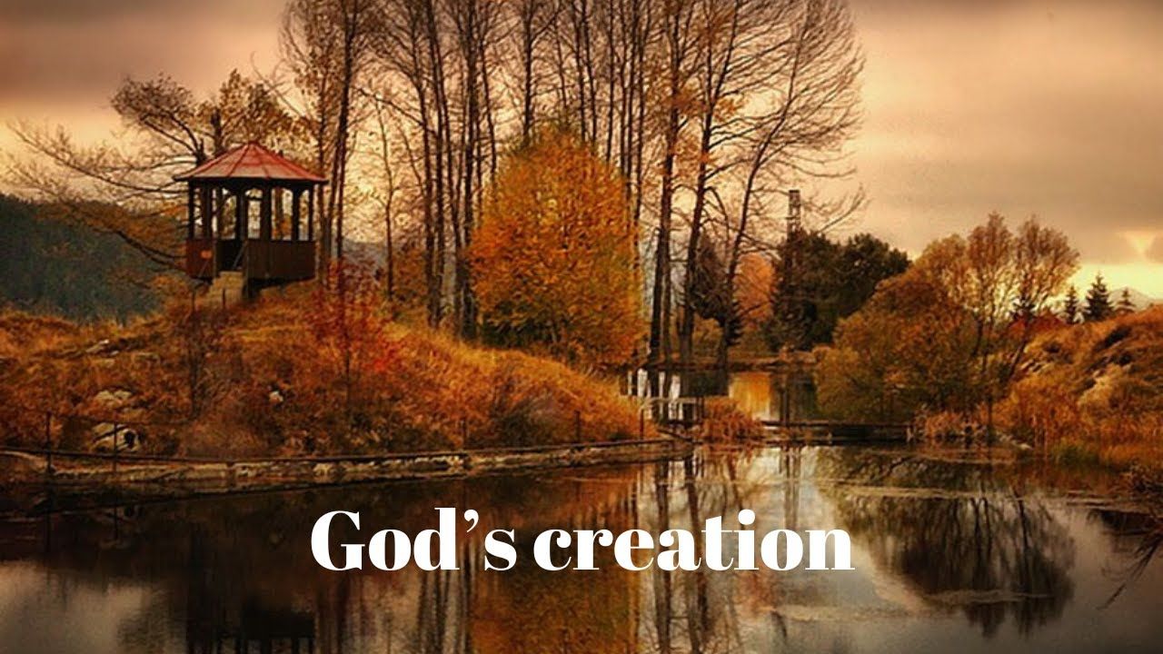 The Divine Tapestry of Creation: 1689 London Baptist Confession of ...