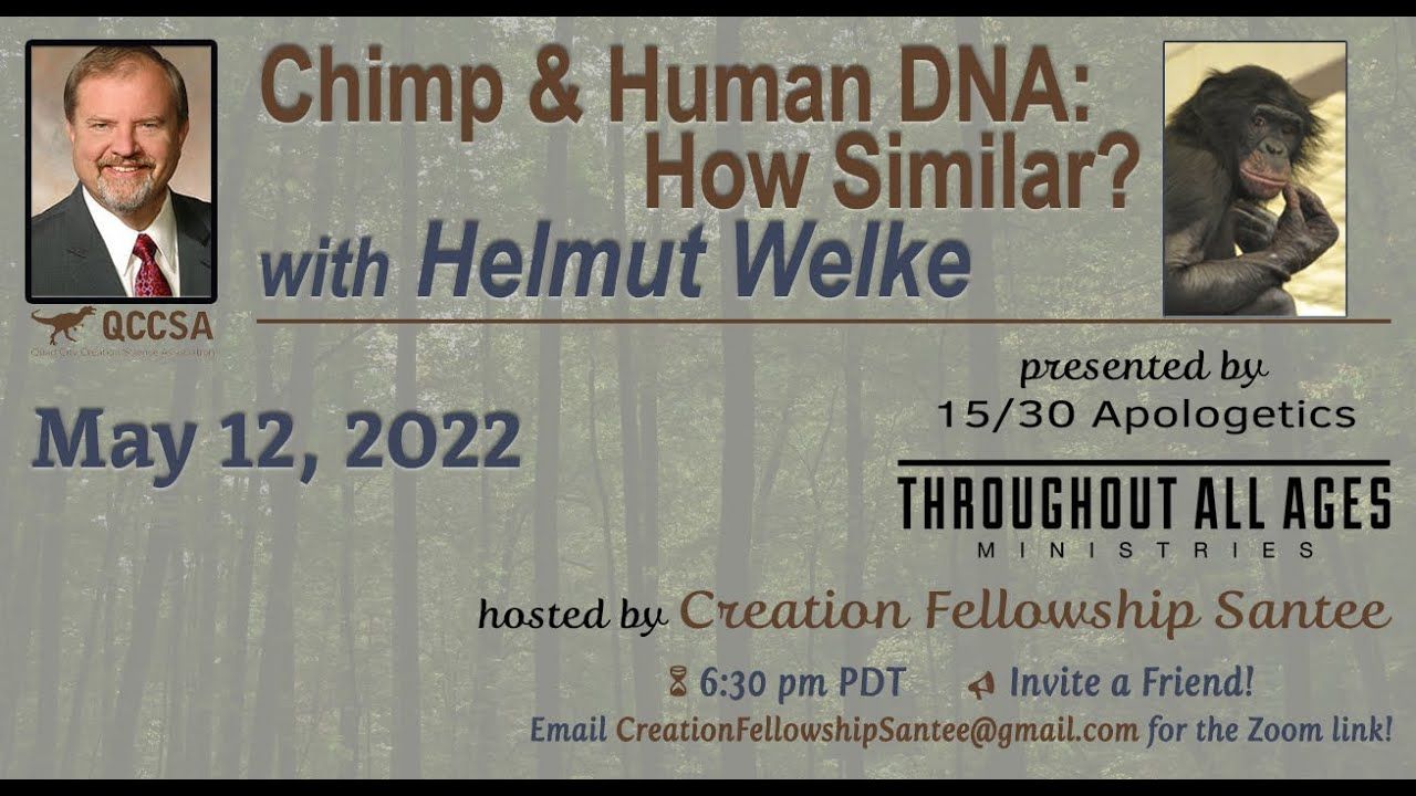 Chimp and Human DNA how similar? Helmut Welke, | Let's Church